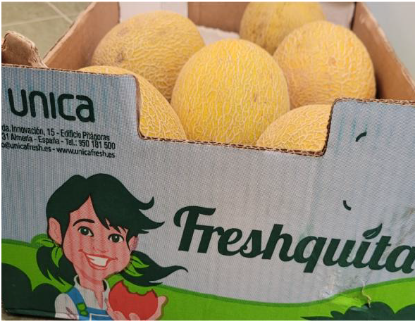 Rappel : Melon Galia de la marque Freshquita - Sécurité alimentaire ...